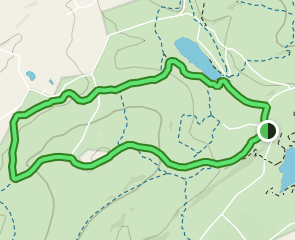 Hopewell Fire Tower Loop via Horseshoe and Ridge Trail: 114 Reviews ...