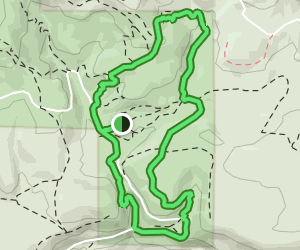 Shellburg Falls Trail [CLOSED]: 830 Reviews, Map - Oregon | AllTrails