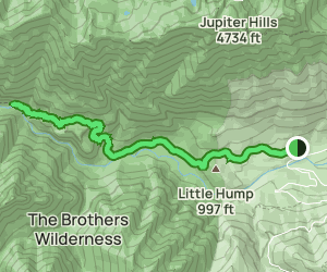Duckabush River Trail to Five Mile Camp: 716 Reviews, Map - Washington ...