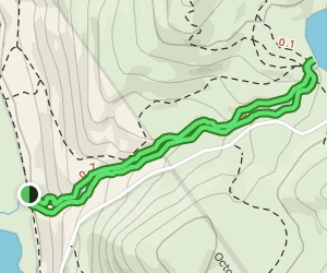 Felton Lake via Gorge Trail: 218 Reviews, Map - Massachusetts | AllTrails