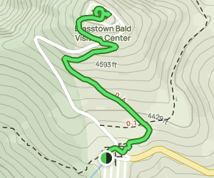Brasstown Bald Trail: 1390 Reviews, Map - Georgia | AllTrails