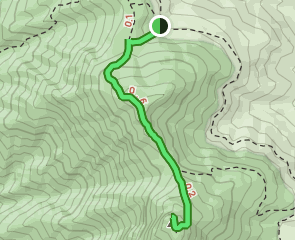Jonas Ridge Trail to Hawksbill Mountain Summit, North Carolina - 101 ...