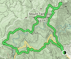 Mount Tam East Peak Loop via Troop 80 Trail and Fern Creek Trail: 91 ...