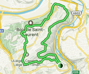 Boucle du Sart-Tilman, 145 Photos - Liège, Belgium | AllTrails