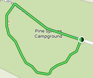 Pine Springs Campground Loop - Texas | AllTrails