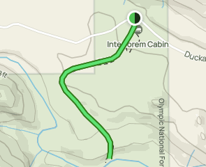 Ranger Hole Trail, Washington - 478 Reviews, Map | AllTrails