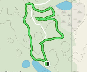 Peacock Springs Interpretive Trail: 27 foto's - Florida | AllTrails