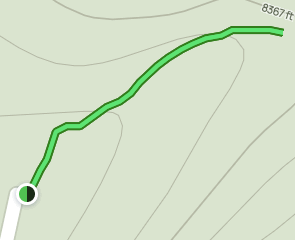 El Salto del Agua Waterfall Trail: 29 foto - Nuovo Messico | AllTrails