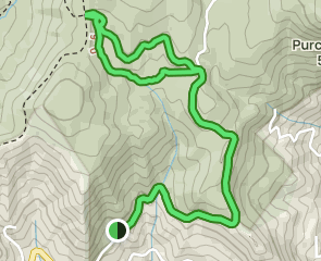 Ferguson Cabin Trail Loop, North Carolina - 242 Reviews, Map | AllTrails