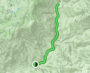 Wishon and Doyle Trail, California - 81 Reviews, Map | AllTrails