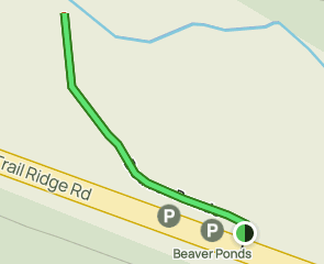 Beaver Ponds Boardwalk, Colorado - 95 Reviews, Map | AllTrails