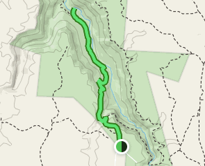 Collins Gulf Trail to Horsepound Falls and Collins River: 1.583 fotos ...