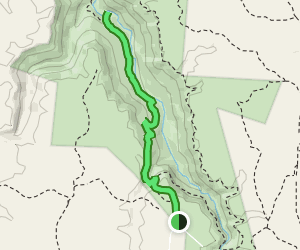 Collins Gulf Trail to Horsepound Falls and Collins River: 531 Reviews ...