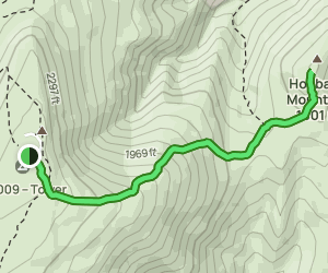 AllTrails | Hogback Mountain Trail: 18 Reviews, Map - Pennsylvania