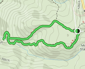 Federal Falls Track, New South Wales, Australia - 186 Reviews, Map ...