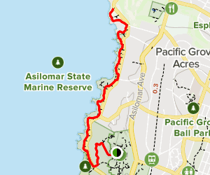 Asilomar State Beach and Coast Trail - California | AllTrails
