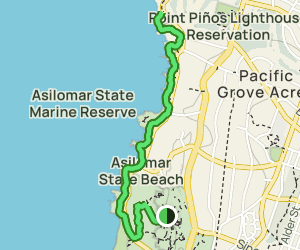 Asilomar State Beach and Coast Trail: 644 Reviews, Map - California ...
