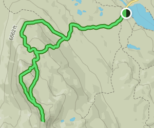 Bald Hills Loop: 997 Reviews, Map - Alberta, Canada | AllTrails