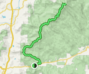 Rabun Bald via Bartram Trail: 67 Reviews, Map - Georgia | AllTrails