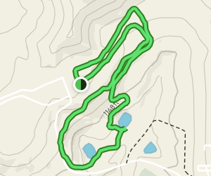 Mylan Park Pond Trail: 6 Reviews, Map - West Virginia | AllTrails