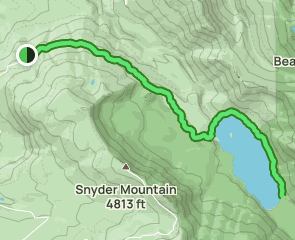 Packwood Lake Trail: 1,527 Reviews, Map - Washington | AllTrails