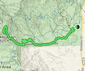 Mule Mountain Pass: 29 Reviews, Map - California | AllTrails