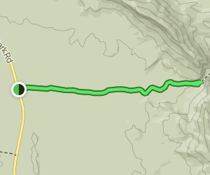 Dog Canyon Trail: 181 Reviews, Map - Texas | AllTrails