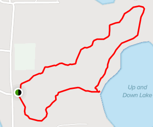 Up and Down Lake via Carl Duval Trail - Florida | AllTrails