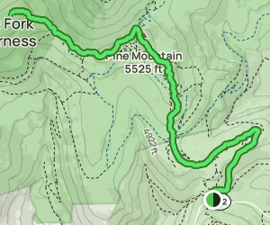 Mount Rogers via Appalachian Trail: 651 Reviews, Map - Virginia | AllTrails
