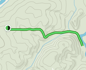 Roberts Lake Trail, Georgia - 168 Reviews, Map | AllTrails