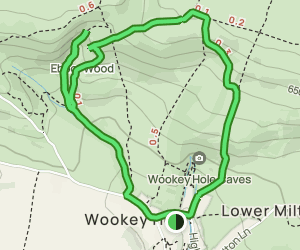 Ebbor Gorge Circular: 118 Reviews, Map - Somerset, England | AllTrails