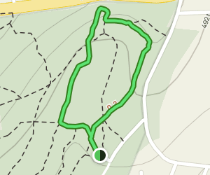 Turtle Back Rock Interpretive Trail: 100 Reviews, Map - New Jersey ...