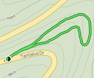 Tantalus Arboretum Trail: 51 foto - Oahu, Hawaii | AllTrails