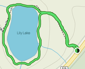 Lily Lake Trail: 47 Reviews, Map - California | AllTrails