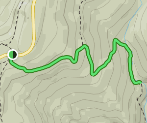 Rose River Falls: 586 Reviews, Map - Virginia | AllTrails