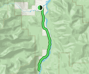 Big Elbow Trail: 189 Reviews, Map - Alberta, Canada | AllTrails