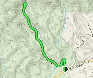 Angel Falls Trail: 888 Reviews, Map - Georgia | AllTrails