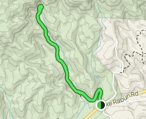 Angel Falls Trail, Georgia - 979 Reviews, Map | AllTrails