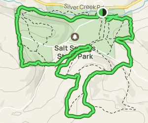 Salt Springs Loop Trail: 117 Reviews, Map - Pennsylvania | AllTrails