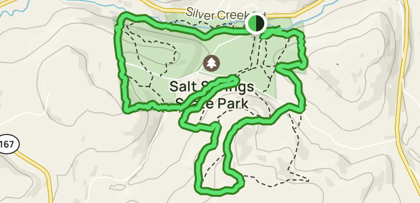 Are Dogs Allowed At Salt Springs Park Pa