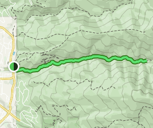 Holbrook Canyon Trail: 563 Reviews, Map - Utah | AllTrails
