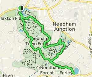 Needham Town Forest and Farley Pond Loop: 446 Reviews, Map ...