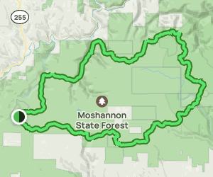 AllTrails | Quehanna Trail West Loop: 11 Reviews, Map - Pennsylvania