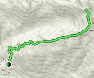 Mount Elizabeth: 28 Reviews, Map - British Columbia, Canada | AllTrails