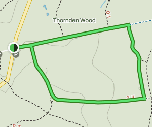 Thornden Woods and Blean Woods Circular: 30 Fotos - Kent, England ...