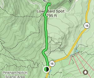 Low's Bald Spot Trail: 286 Reviews, Map - New Hampshire | AllTrails