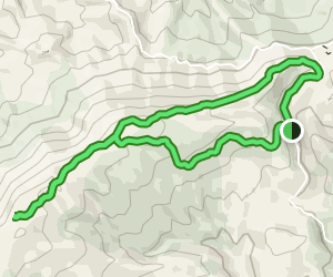 Bell Rock Loop Track: 79 Reviews, Map - Hawke's Bay, New Zealand ...