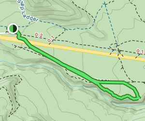 Cliff Rose Loop Trail: 13 Reviews, Map - Nevada | AllTrails