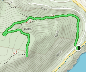 Mount Mitchell via Wodi Wodi Track: 92 Reviews, Map - New South Wales ...