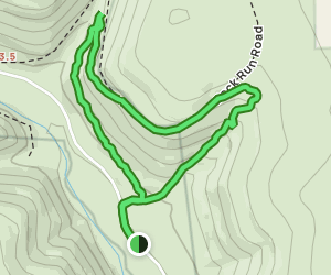 Rock Run and Spur Line Trail: 113 Reviews, Map - Pennsylvania | AllTrails